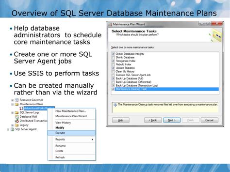 Ppt Module 16 Performing Ongoing Database Maintenance Powerpoint