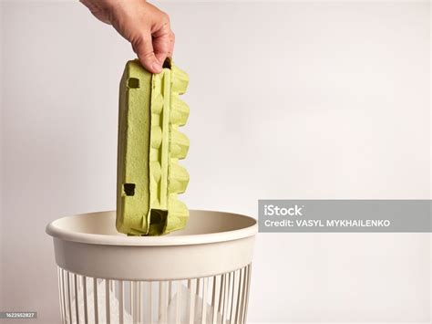 계란 상자는 폐기 및 재활용을 위해 쓰레기통에 버려졌습니다 단순함에 대한 스톡 사진 및 기타 이미지 단순함 단일 객체 디자인 Istock