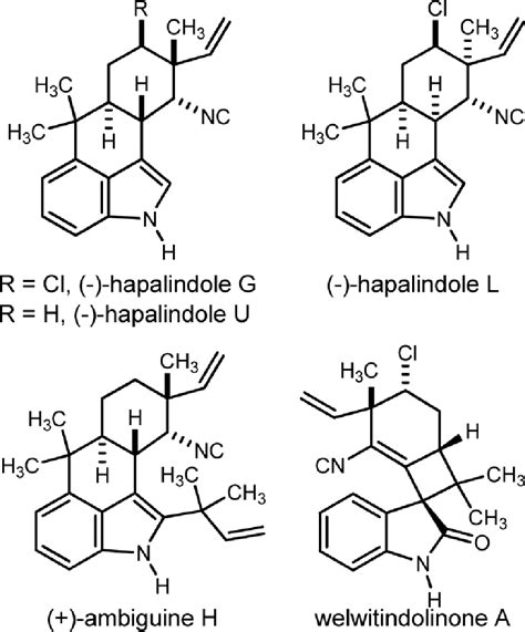 Figure 1 From Synthesis Of The Abc And D Ring Systems Of The Indole Alkaloid Ambiguine G