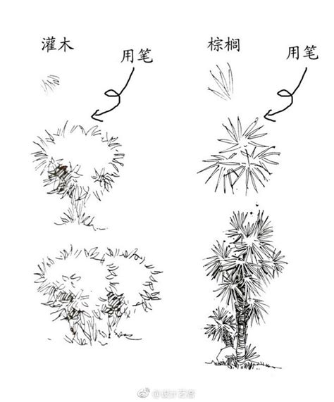 绘画 灌木的手绘笔法图解