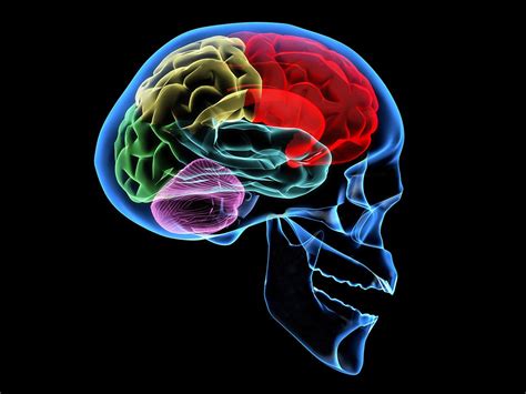 Anitha Rajagopal Posted On Linkedin