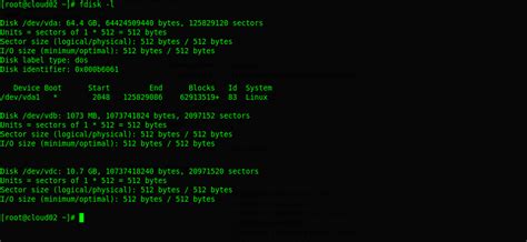 Mount A New Disk To A Linux Server Hostnextra