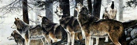 Dark Knight Nkdarkdrgmailc1 Twitter