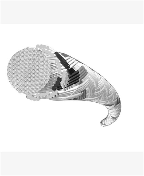 Squash Strings Gsm Sports