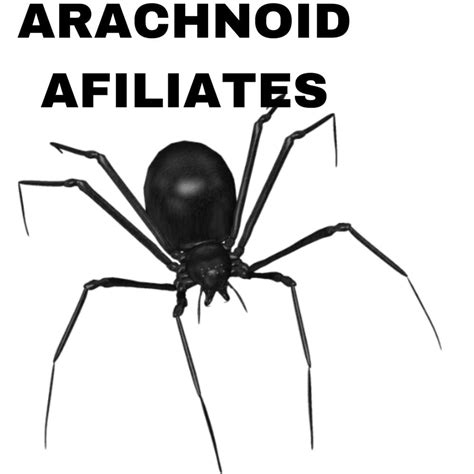 Arachnoid Afiliates Lyrics Songs And Albums Genius