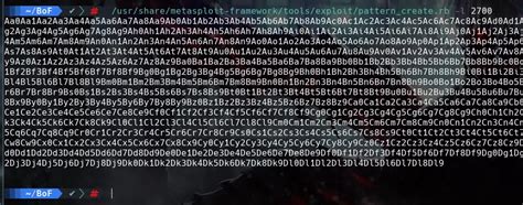 Buffer Overflow 32 Bits En Slmail 55 Deep Hacking