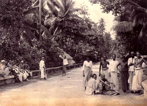 Native Sinhalese Villagers Near Colombo Ceylon