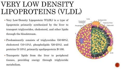 Structure And Functions Of Lipoprotein Pptx