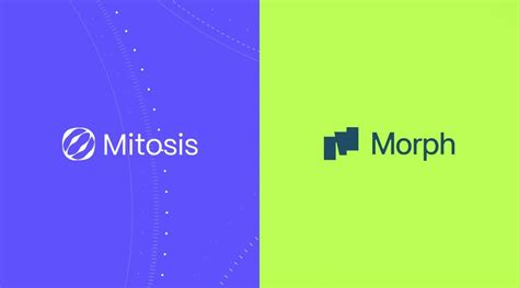 a new era for defi launching matrix vaults on morph l2