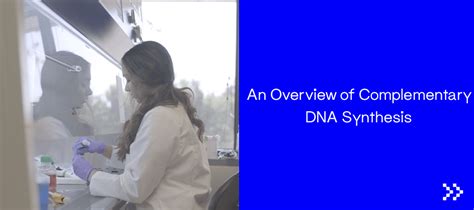 an overview of complementary dna synthesis