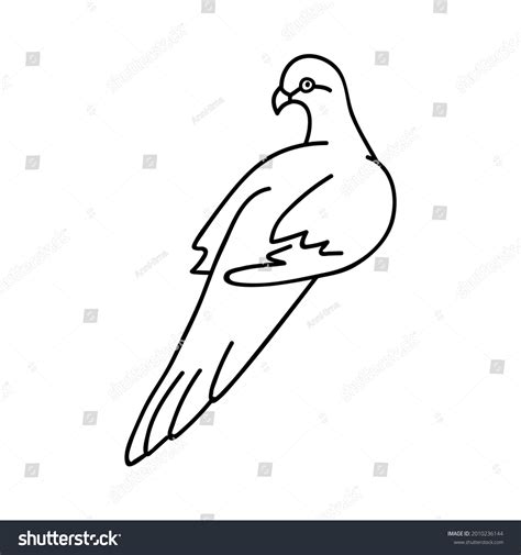 Single Hand Drawn Dove Doodle Vector Stock Vector Royalty Free