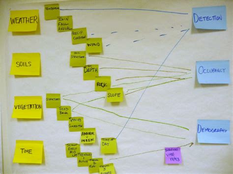 Examples Of Covariates And Subcategories Of Variables That Could Be