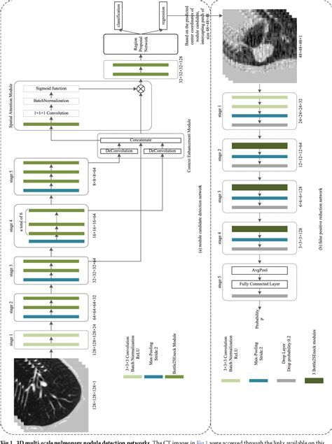 Figure 1 From 3d Multi Scale Deep Convolutional Neural Networks For