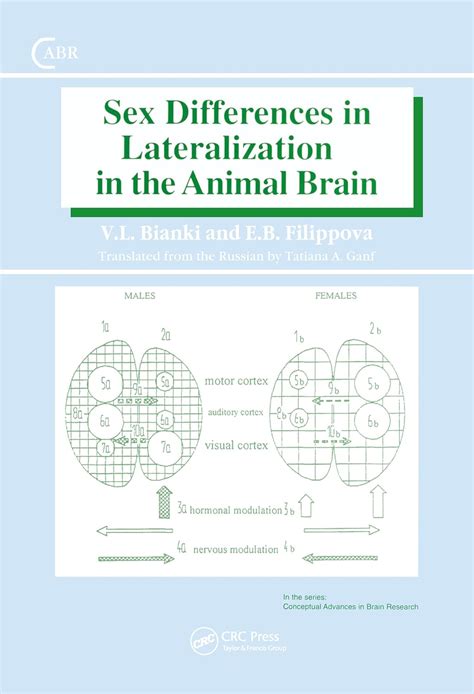 Sex Differences In Lateralization In The Animal Brain Conceptual