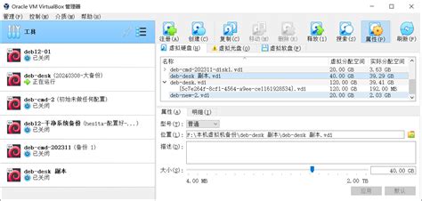 Oracle Vm Virtualbox虚拟磁盘扩容（linux版） 系统与服务 维臻