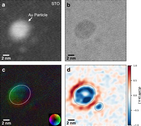 Atomic Scale Stem Images And Inverted Com Map Acquired Simultaneously