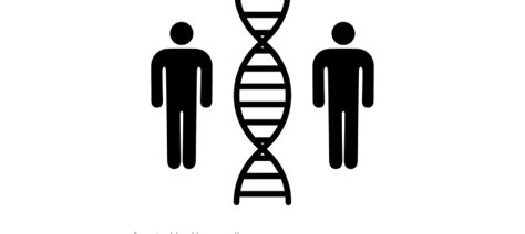 How To Clone Sql Server Logins Users Roles And Permissions Tidbytez