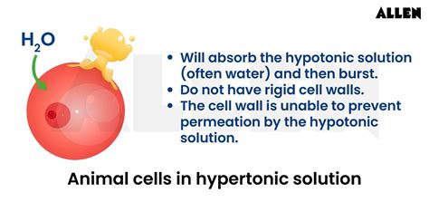 Hypotonic Solution Definition Example And Faqs