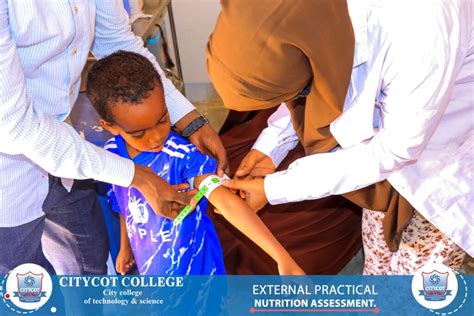 Our Gallery Citycot University