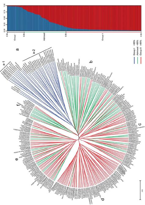 Cluster Analysis And Population Structure Generated From 285 Accessions