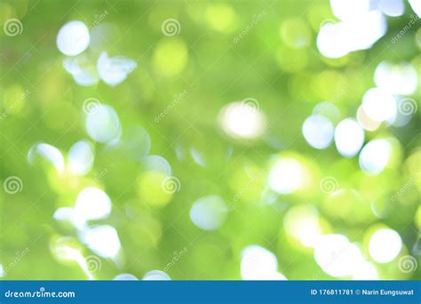 Green Blurred Bokeh Background Abstract Green Bokeh Background Stock