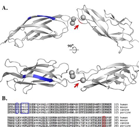 [pdf] Exfoliative Toxins Of Staphylococcus Aureus Semantic Scholar