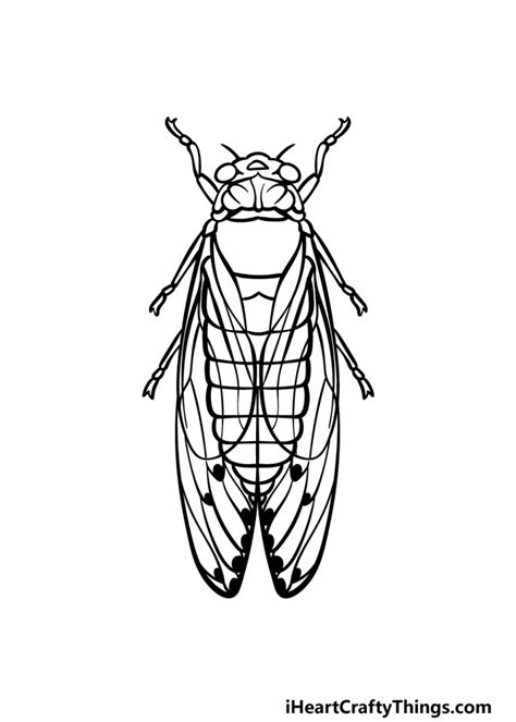 Cicada Drawing How To Draw A Cicada Step By Step Cicada Drawing How To Draw A Cicada Step By Step