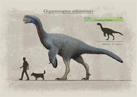 Gigantoraptor Erlianensis By Saulcontilde On Deviantart