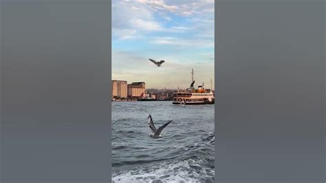 힐링 음악 공부할 때 들으면 좋은 음악 클래식 Youtube