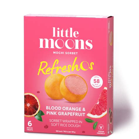 Chocolate Ganache Mochi Little Moons