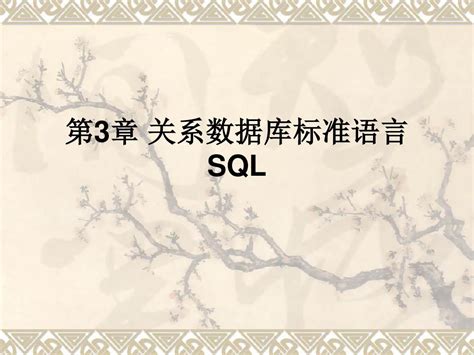 第3章 关系数据库标准语言sqlword文档免费下载亿佰文档网