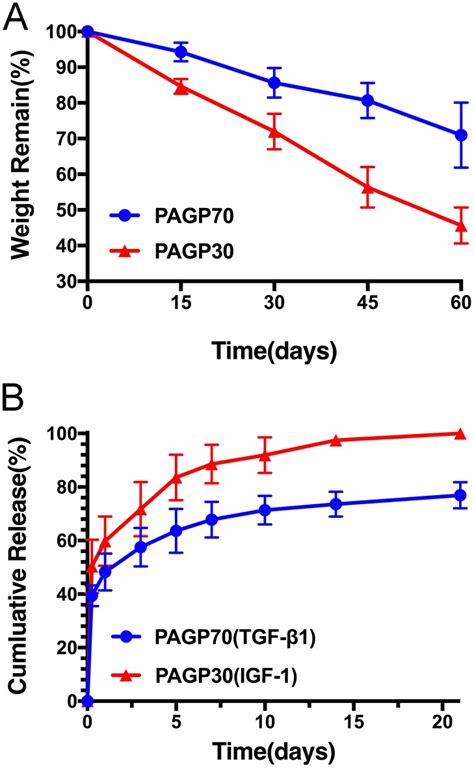 Synthesis And Characterization Of Polyphosphazene Microspheres Incorporating Demineralized Bone