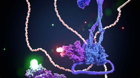 Dna Loop Extrusion A Discovery Ends A Scientific Controversy European Synthetic Cell Initiative