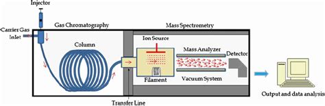 Gas Chromatography Mass Spectrometry Principle Instrumentation