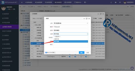 Rdiframeworknet开发框架用户字典助力saas数据字典应用51cto博客数据字典模块