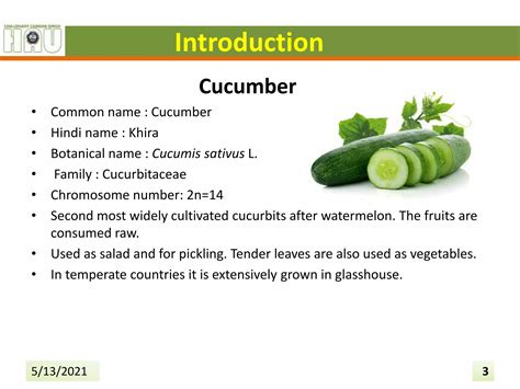 Cucumber Ppt Gardening Home And Garden Cucumber Ppt Gardening Home And Garden