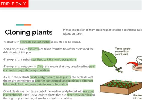 Igcse Biology Variation And Selection Presentation Notes Teaching Resources
