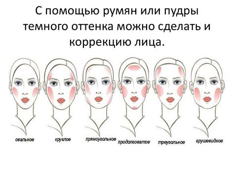 Как наносить румяна на овальное лицо и какие их виды использовать
