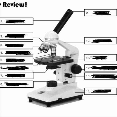 Microscope Diagram Unlabeled