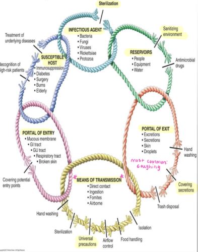Patho Module 7 Flashcards Quizlet Patho Module 7 Flashcards Quizlet