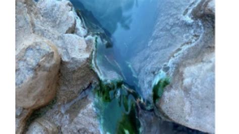 Toxic Bacteria Near Tourist Destination Giving Hikers Swimmers Itch