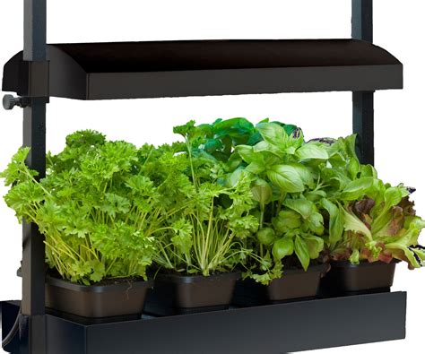 Sunblaster Growing Kit And Reviews Wayfair