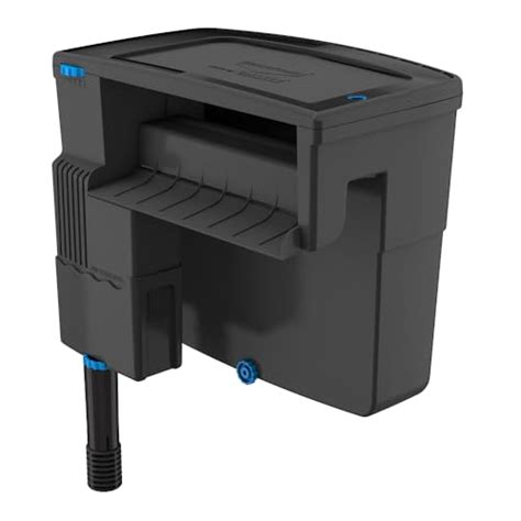 Understanding Why Your Fish Swims Vertically Causes And Corrections