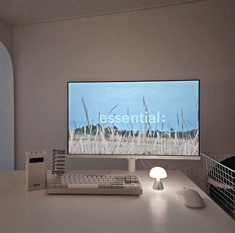 캠핑생활용품 스테인리스 와이어 바스켓 캠핑 차박 수납 철제 바구니 오늘의집 쇼핑