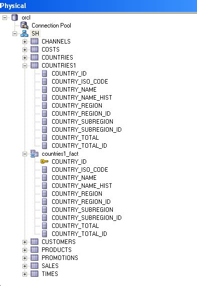 Diksha Sea Obiee 11g Hierarchy