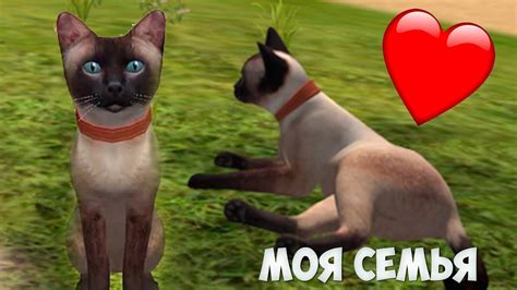 СИМУЛЯТОР КОТА и КОШКИ 5 Котёнок влюбился Новая семья котов против Босса Youtube