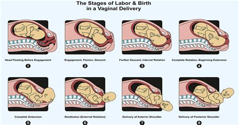 20 Useful Pregnancy Tips For Normal Delivery