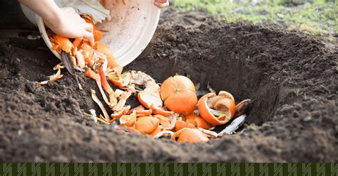 Turn Food Waste Into Garden Gold With Free Compost Pick Up In Queens