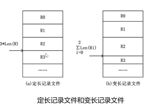 文件系统结构详解 CSDN博客