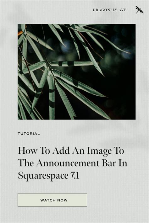 How To Add An Image On The Announcement Bar In Squarespace 71